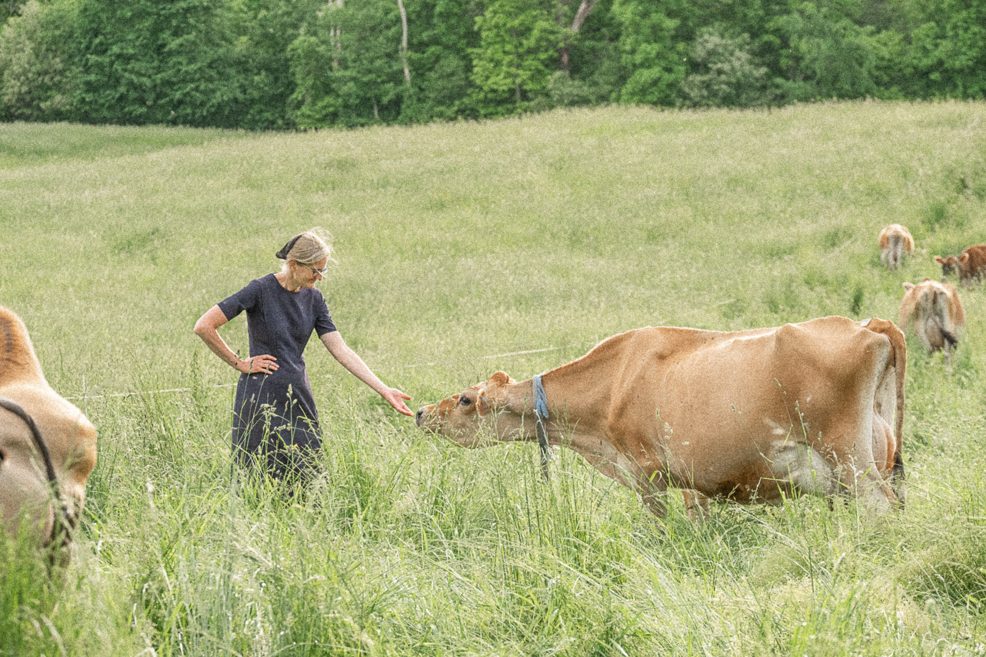 About – Baldwin Brook Farm | CT Raw Milk Dairy Farm