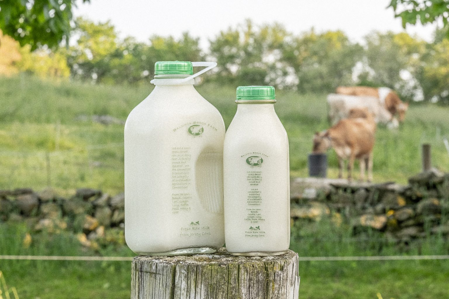 About – Baldwin Brook Farm | CT Raw Milk Dairy Farm